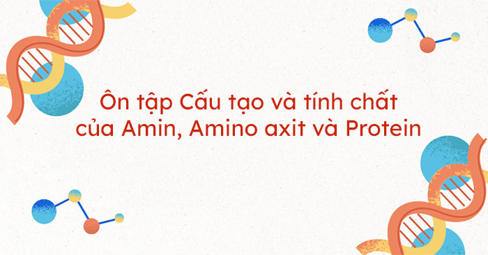Ôn tập Cấu tạo và tính chất của amin, amino axit và protein - Luyện tập ...