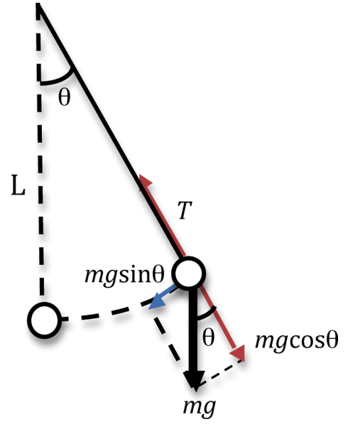 Con lắc đơn - Lý thuyết Vật lý lớp 12 - KhoaHoc.vn
