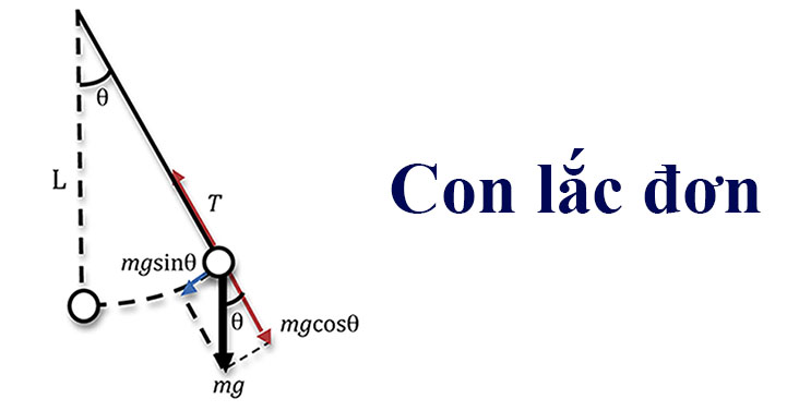 Con lắc đơn - Lý thuyết Vật lý lớp 12 - KhoaHoc.vn